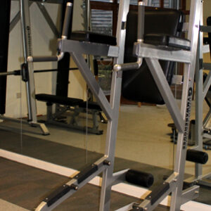 Chin Dip Leg Raise Station - £999.95
