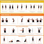 Upper Body Stretching Poster - £19.95