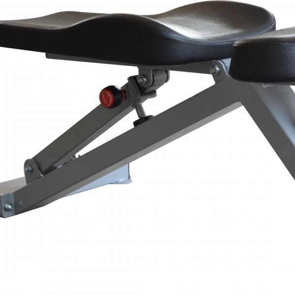 Compact Gym Adjustable Bench, (in Matte Black or Silver) - £329.95 - In ...