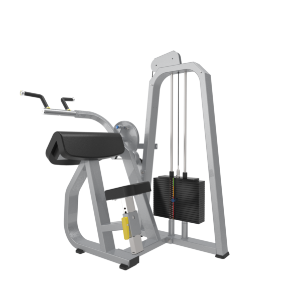 Dual Purpose Arm Curl & Arm Extension - £1784.95 - Next Generation